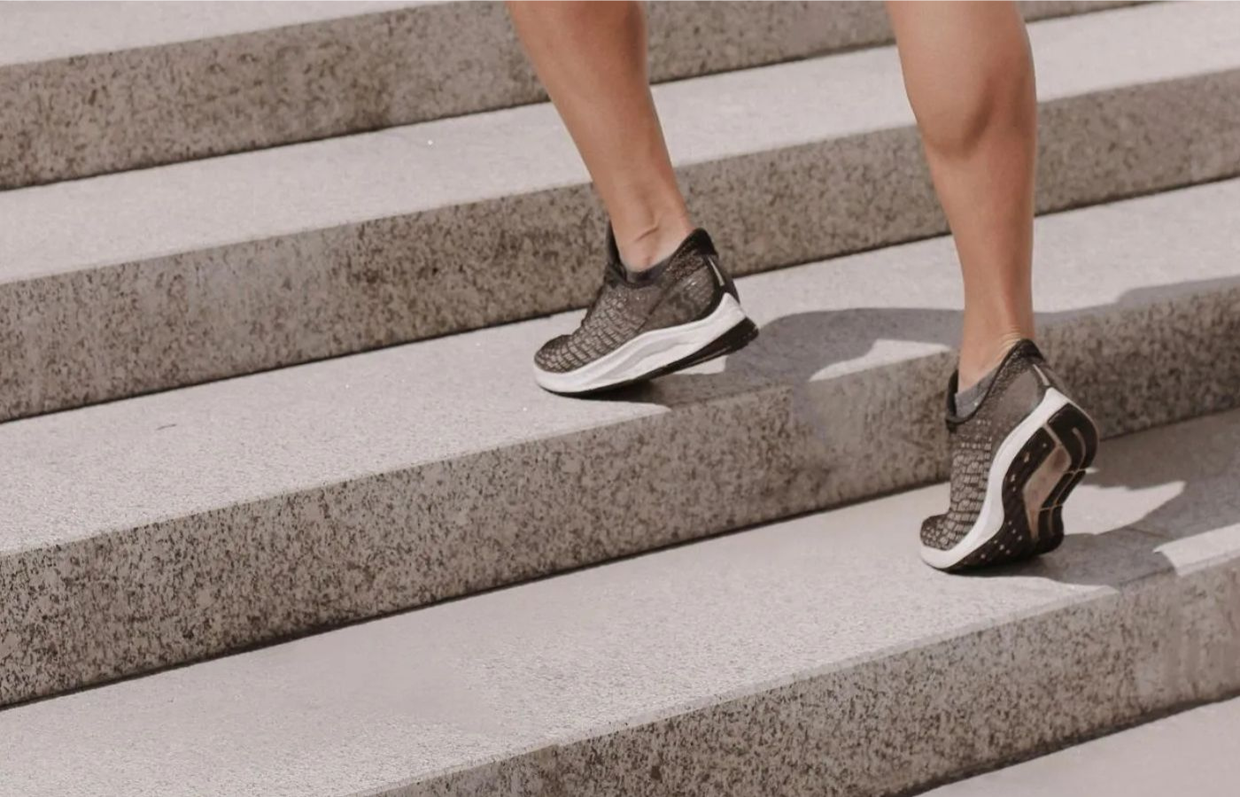 The Anatomy Of A Running Shoe